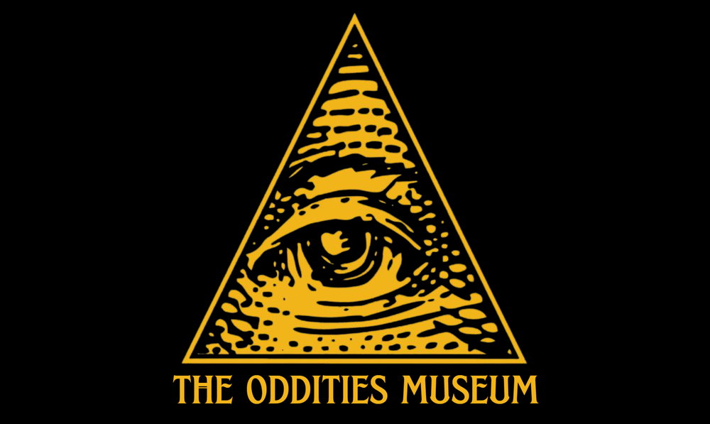 THE ODDITIES MUSEUM - Updated November 2024 - 3870 N Peachtree Rd ...