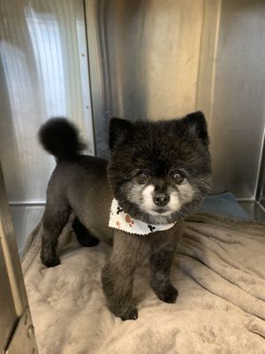 STEVENS ANIMAL HOSPITAL - Updated December 2025 - 35 Photos & 64 ...