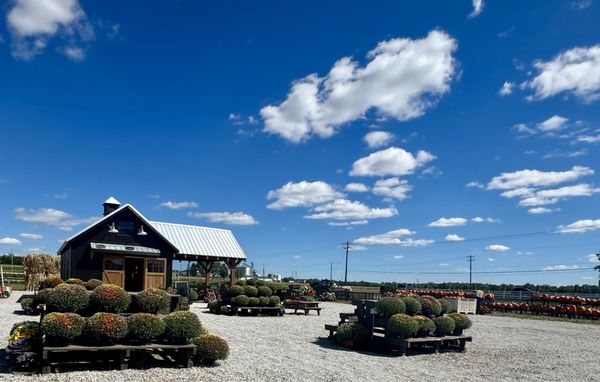 GARVER FAMILY FARM MARKET - Updated October 2025 - 102 Photos & 21 ...