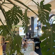 LOCALS ONLY - 416 Photos & 232 Reviews - Breakfast & Brunch - 311 ...