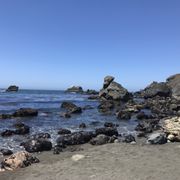 SHELL BEACH - 55 Photos - Beaches - 3095 Coast Hwy, Bodega Bay, CA - Yelp