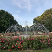 WHETSTONE PARK OF ROSES - 329 Photos & 115 Reviews - 3923 N High St ...