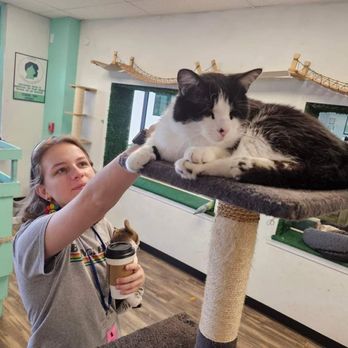 MOCHAS AND MEOWS - Updated July 2025 - 137 Photos & 83 Reviews - 3265 ...