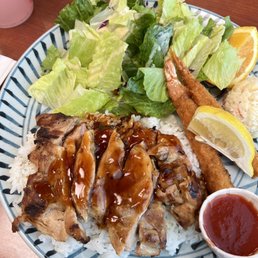 TERI CAFE - Updated October 2025 - 788 Photos & 983 Reviews - 3809 ...