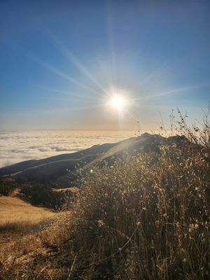FREMONT PEAK STATE PARK - Updated December 2025 - 165 Photos & 39 ...