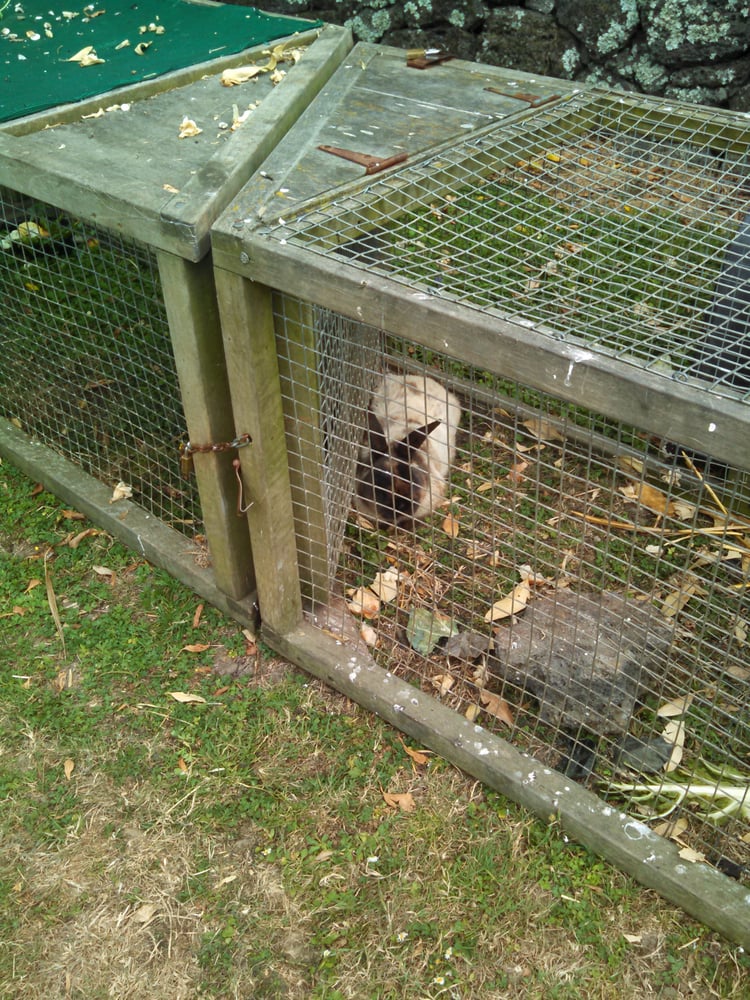 AMBURY PARK FARM - Updated January 2026 - Wellesley Road, Auckland, New ...