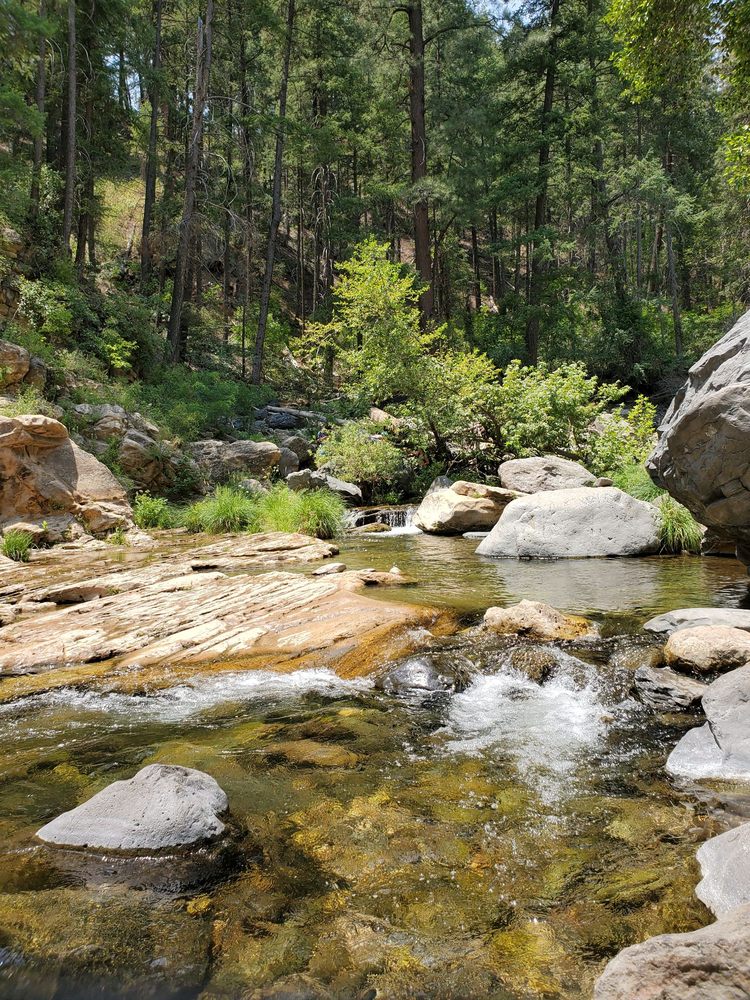 BOOTLEGGER PICNIC AREA - Updated July 2025 - 21 Photos - Arizona 89A ...