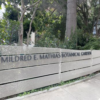UCLA MATHIAS BOTANICAL GARDEN - Updated July 2025 - 457 Photos & 114 ...