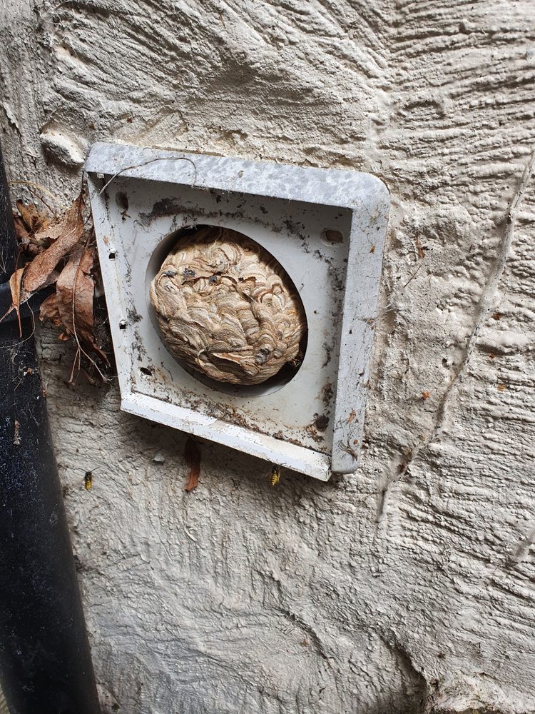 PESTFORCE - Updated June 2024 - 17 Photos - Windmill way, Much Hadham ...