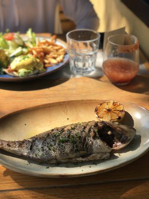 PEARL DIVER - 1180 Photos & 627 Reviews - 100 Adelaide Street E ...