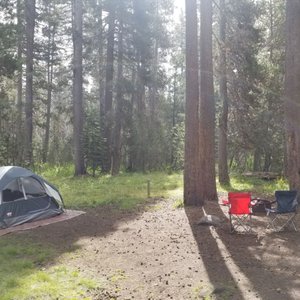 ROBINSON CREEK CAMPGROUND - Updated June 2025 - 23 Photos - Bridgeport ...