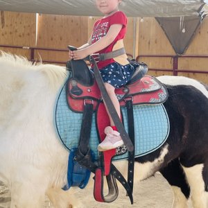 BARBER FAMILY FARM - 253 Photos & 24 Reviews - 45620 30th St E ...