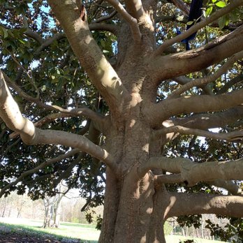 AYR MOUNT - Updated January 2026 - 142 Photos & 11 Real Reviews - 376 ...