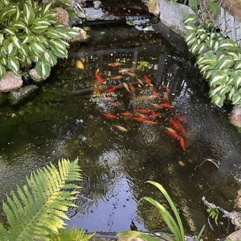 PEKADILL’S - Updated October 2025 - 83 Photos & 174 Reviews - 503 S ...