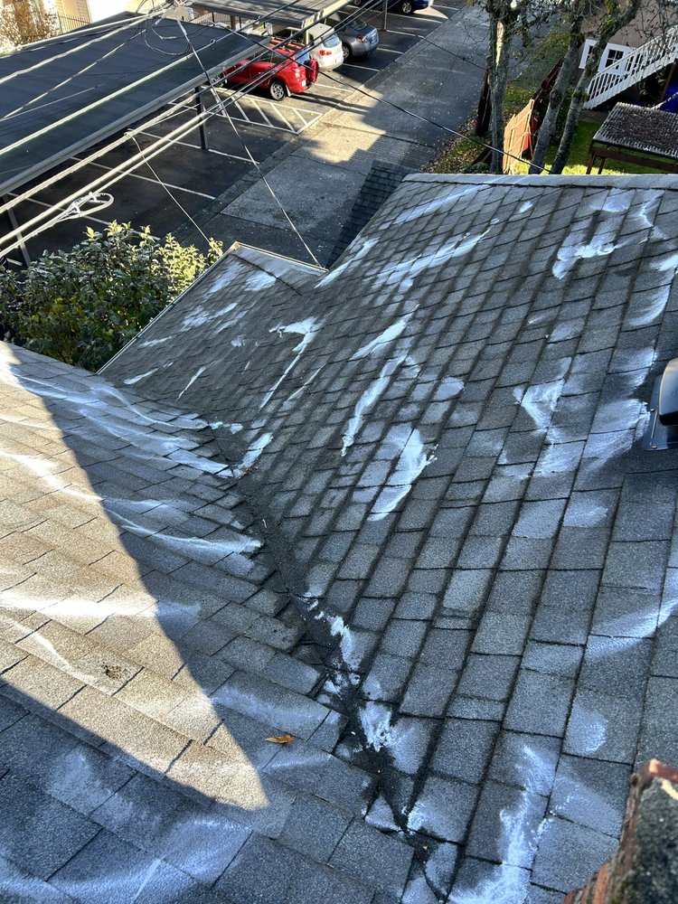 MARTIN LANDSCAPING - Updated August 2025 - Request a Quote - 34 Photos ...