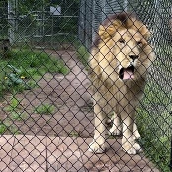 CATTY SHACK RANCH WILDLIFE SANCTUARY - Updated March 2025 - 680 Photos ...