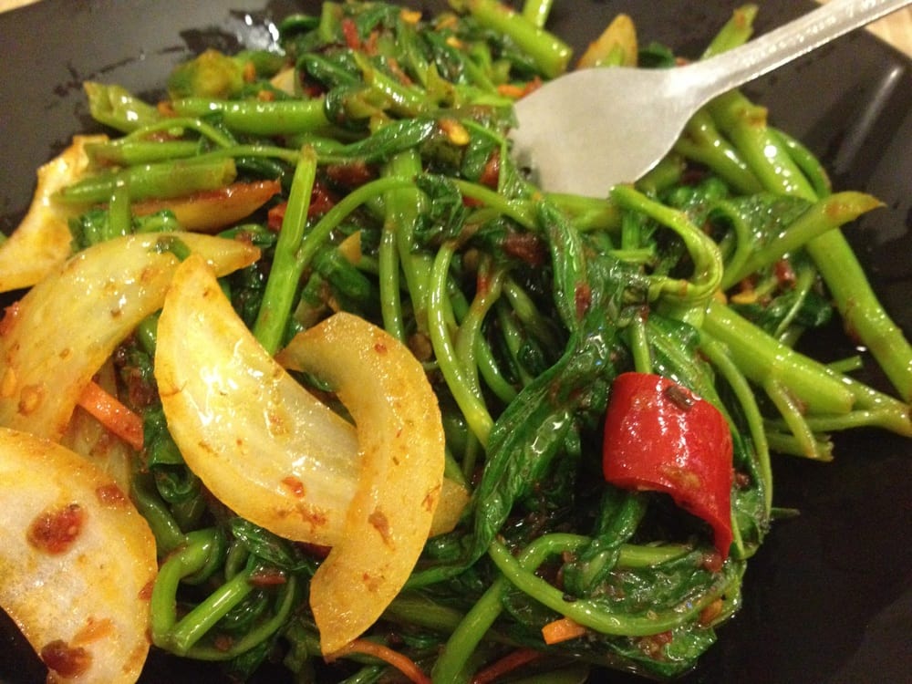 MACKENZIE REX - Updated August 2025 - 26 Photos - 66 Prinsep St ...