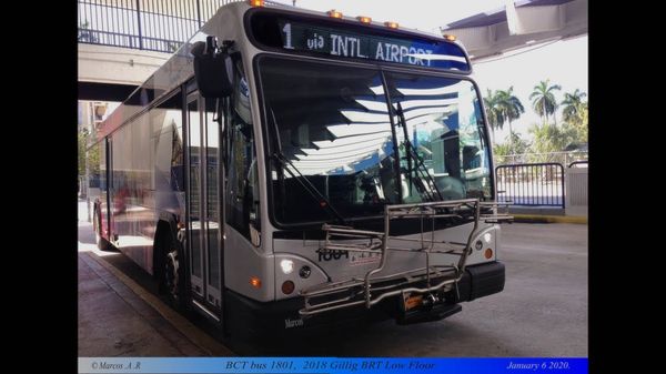 BROWARD COUNTY TRANSIT - Updated August 2024 - 34 Reviews - 100 W ...