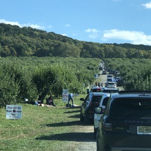 MASKER ORCHARDS - 322 Photos & 201 Reviews - 45 Ball Rd, Warwick, New ...