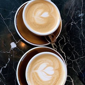 SOCIALITE COFFEE BAR - 74 Photos & 42 Reviews - 1516 Allen St ...