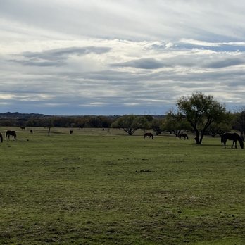 4 HEARTS RANCH - Updated April 2025 - 130 Photos - 16151 US 377 S, Fort ...