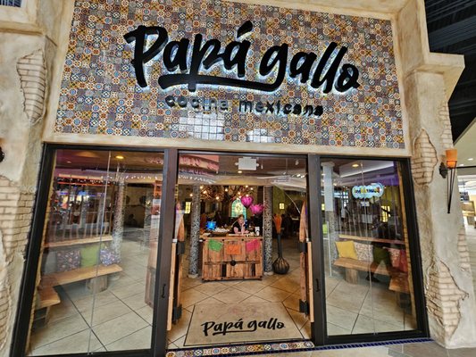 PAPA GALLO - 54 Photos & 21 Reviews - 3405 Candlers Mountain Rd ...