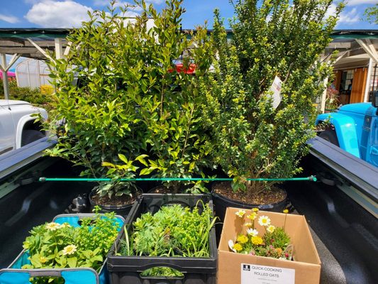 HANOVER VEGETABLE FARM - Updated January 2026 - 42 Photos & 26 Reviews ...