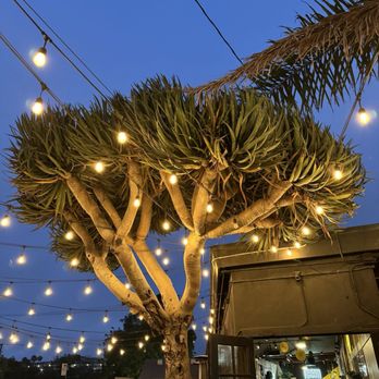 CHIKO with reviews - Updated September 2024 - 1050 Photos & 678 Reviews ...