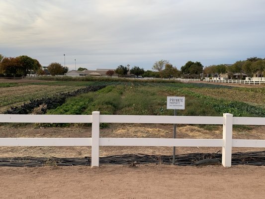 AGRITOPIA - Updated January 2026 - 142 Photos & 44 Reviews - 3000 E Ray ...