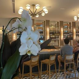 LORELEI - Updated May 2025 - 71 Photos & 11 Reviews - 737 N Thornton Ave, Orlando, Florida ...