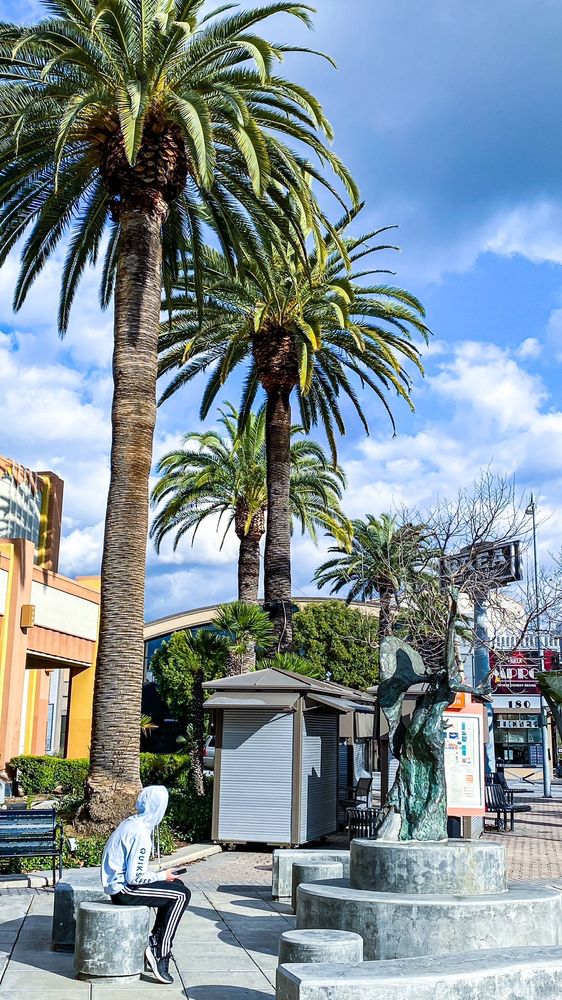 BREA DOWNTOWN - Updated 05/2025 - 292 Photos & 88 Reviews - 330 W Birch ...