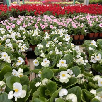 MENARDS - Updated January 2026 - 12 Photos - 3317 S Geneva Ave, Joplin ...