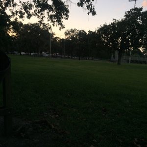 MASON PARK - 21 Photos & 11 Reviews - 541 S 75th St, Houston, TX - Yelp