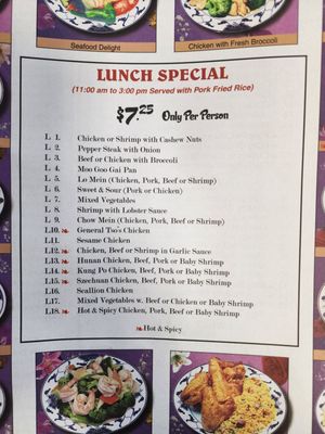 SPRING GARDEN CHINESE RESTAURANT - Updated November 2024 - 303 N ...