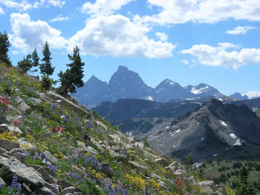 DRY RIDGE OUTFITTERS - Updated December 2025 - 11 Photos - 12500 Reece ...