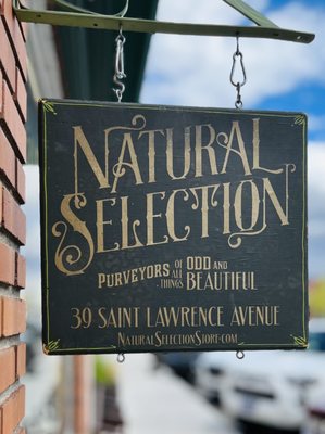 NATURAL SELECTION - Updated December 2025 - 218 Photos & 84 Reviews ...