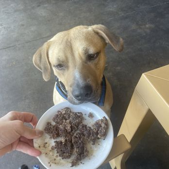 MAPLE LANDING - Updated November 2024 - 572 Photos & 556 Reviews - 5855 ...