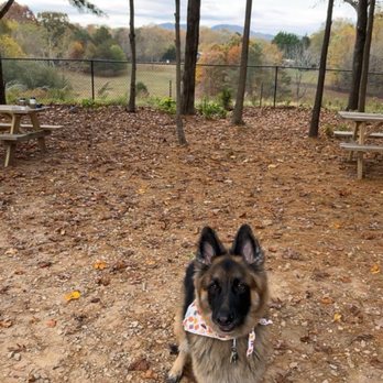 JUMPINGOAT COFFEE ROASTERS & TASTING ROOM - Updated January 2026 - 115 ...