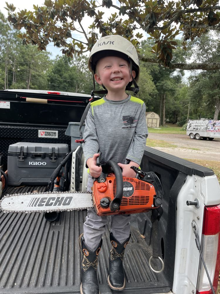 RED LINE TREE COMPANY - Updated December 2025 - 43 Photos - Brooksville, Florida - Tree Services ...