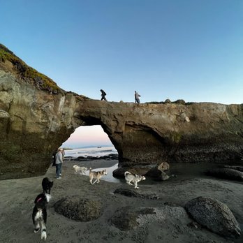 LIGHTHOUSE FIELD STATE BEACH - Updated January 2026 - 533 Photos & 127 ...