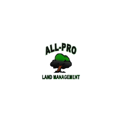 ALL-PRO TREE SERVICE - Updated July 2024 - 12 Photos - 1005 N 12th St ...