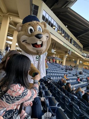 COOLRAY FIELD - 123 Photos & 40 Reviews - Stadiums & Arenas - 2500 ...