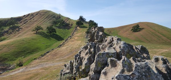 DIABLO FOOTHILLS REGIONAL PARK - Updated January 2026 - 244 Photos & 45 ...