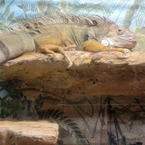 PHILLIPS PARK ZOO - 184 Photos & 86 Reviews - 1000 Ray Moses Dr, Aurora ...