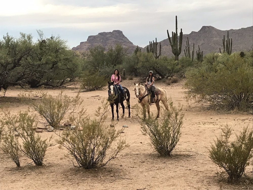 AZTRAILRIDING - Updated June 2024 - 16 Photos - 731 N 102nd Pl, Mesa ...