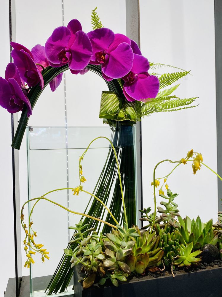 OVANDO BOTANICAL GALLERY - Updated June 2025 - 49 Photos & 53 Reviews ...