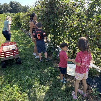 SHAW ORCHARDS - Updated October 2025 - 29 Photos & 16 Reviews - 5594 ...