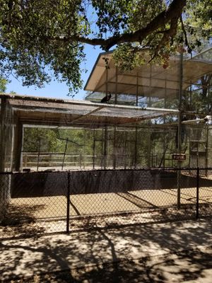 STECKEL PARK - Updated November 2024 - 57 Photos & 46 Reviews - Ojai ...