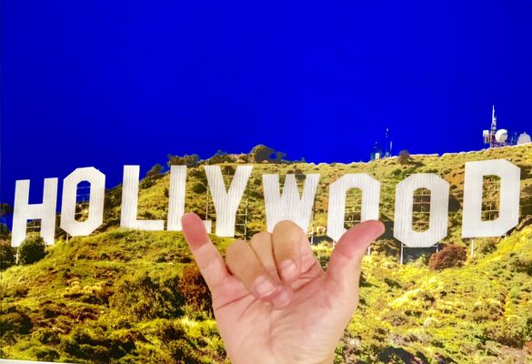 TMZ TOURS - Updated January 2025 - 700 Photos & 921 Reviews - 6801 ...