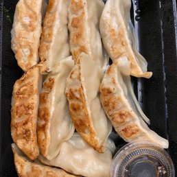 DUMPLING HAUS - Updated July 2025 - 355 Photos & 385 Reviews - 540 N Midvale Blvd, Madison ...
